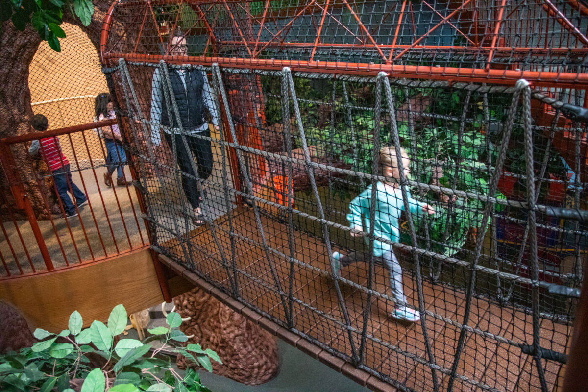 Ogden’s treehouse museum preparing for multimillion dollar expansion ...